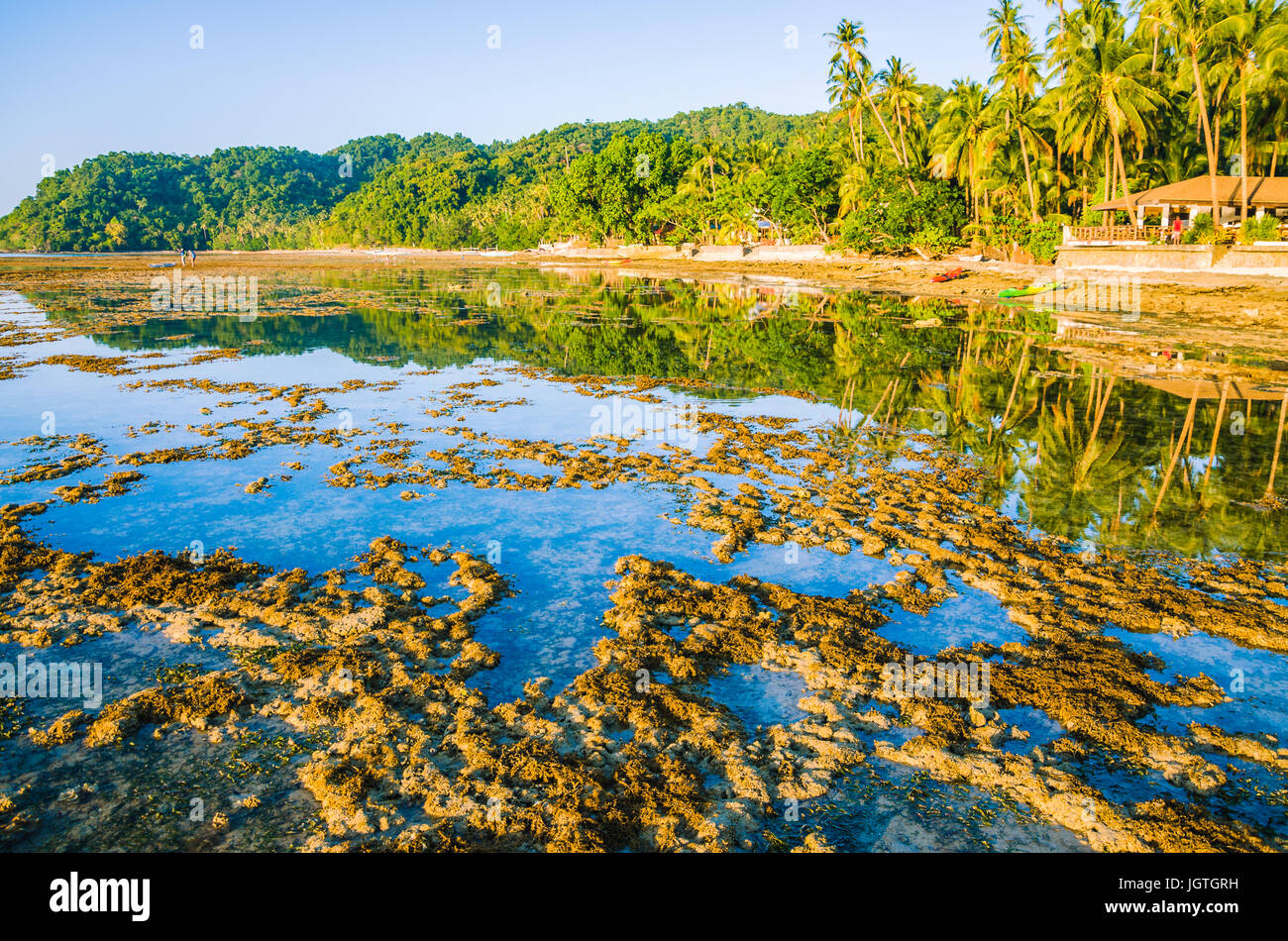 Beautiful morning reflection during low tide, El Nido, Palawan ...