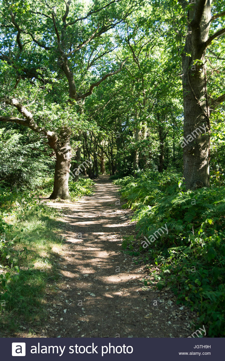 Well Trodden Path Stock Photos & Well Trodden Path Stock Images - Alamy