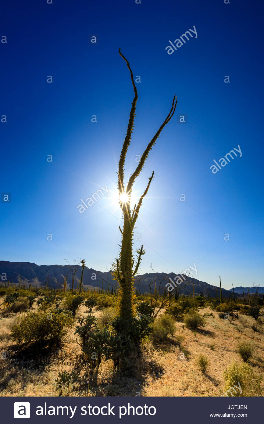 Mexico baja peninsula High Resolution Stock Photography and Images - Alamy
