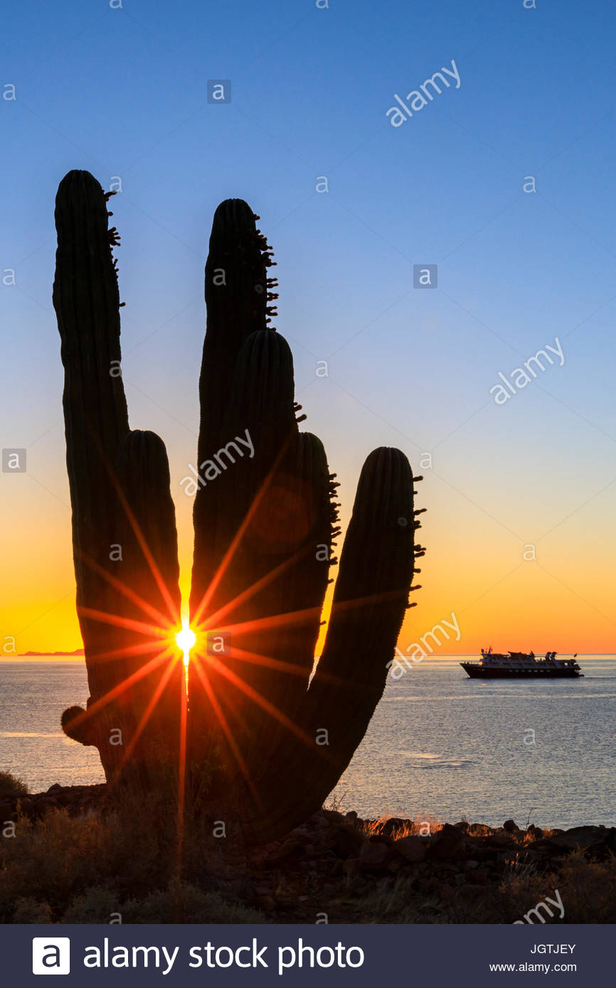 The National Geographic SEA BIRD anchored offshore San Esteban Island ...