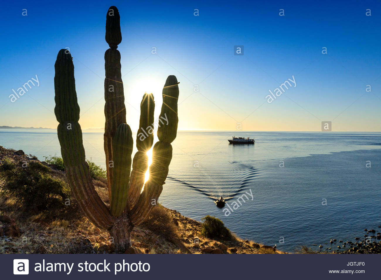 The National Geographic SEA BIRD anchored offshore San Esteban Island ...