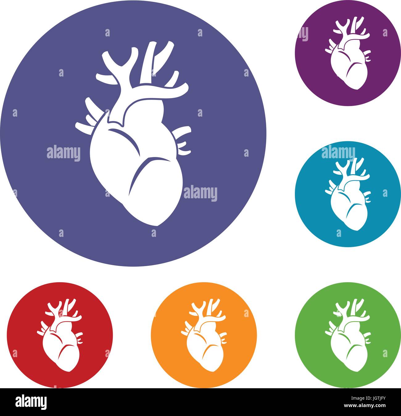 Simple red anatomical heart hi-res stock photography and images - Alamy