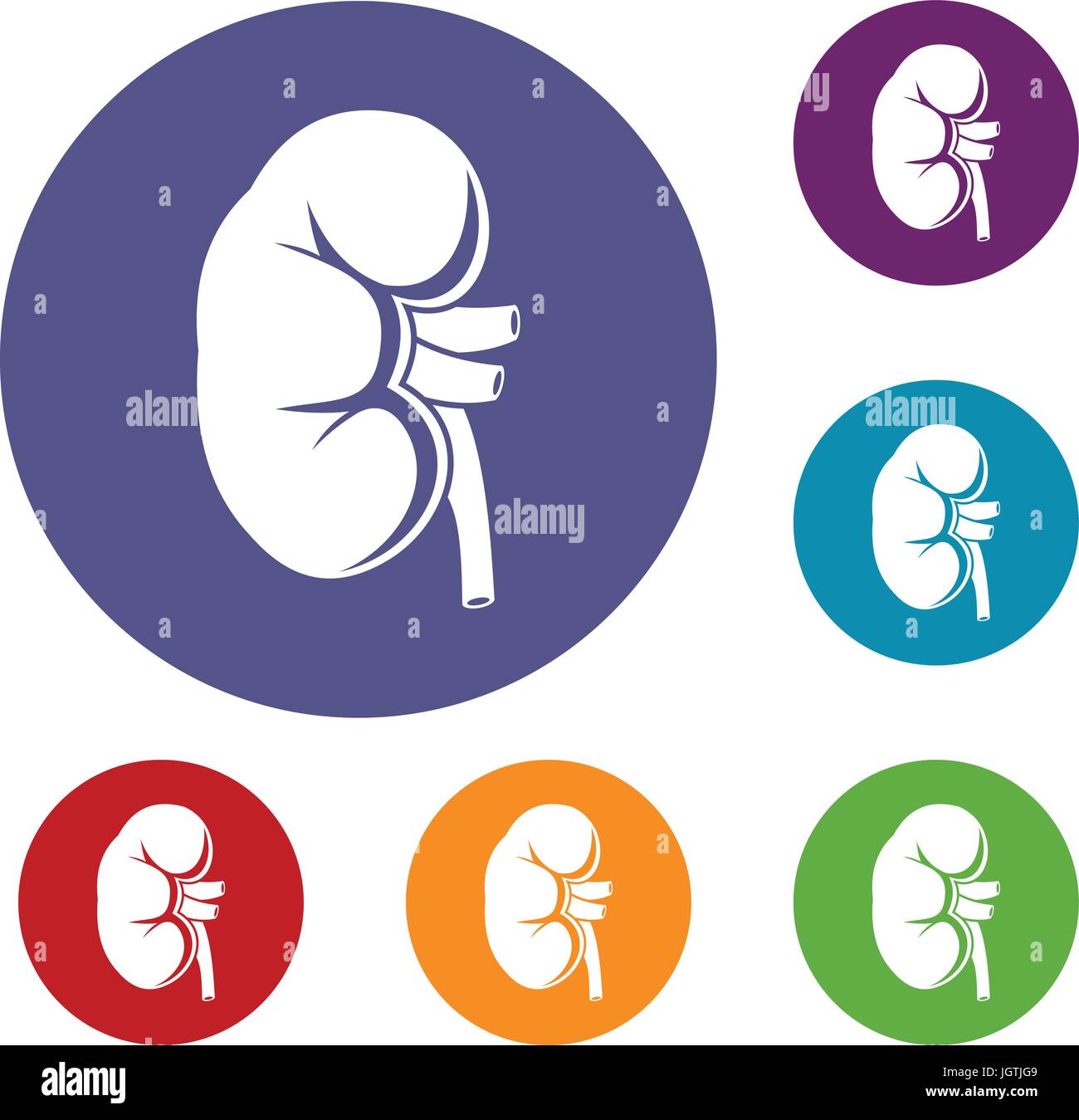 Kidney icons set Stock Vector Image & Art - Alamy