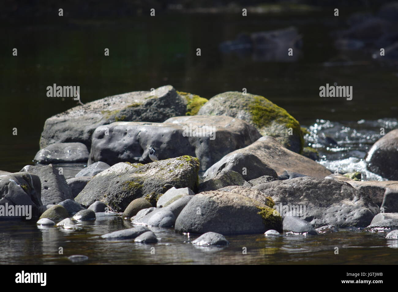 Rocks at the water Stock Photo - Alamy