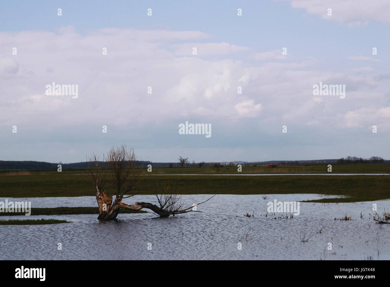 Pasture inland water Stock Photo - Alamy