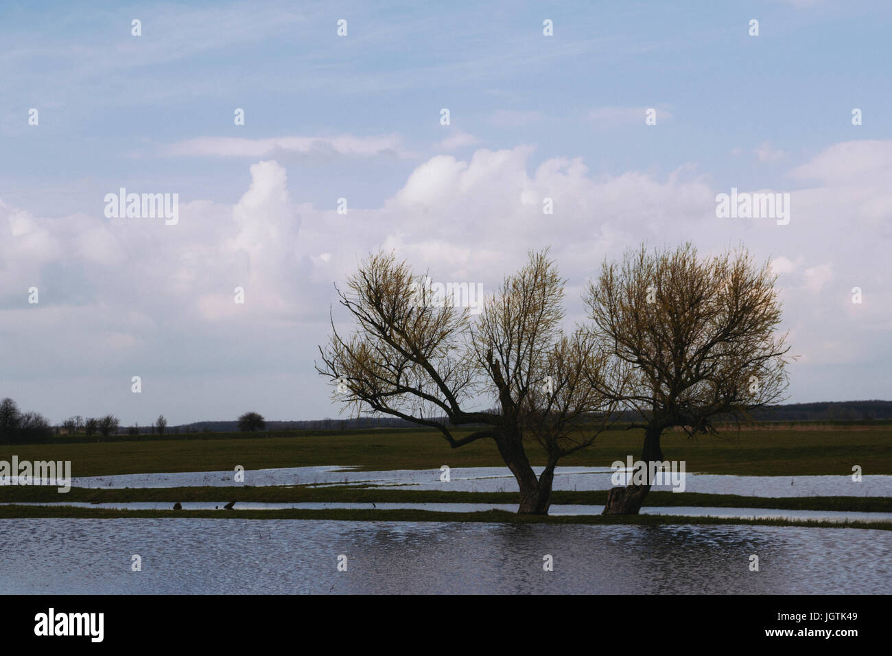 Pasture inland water Stock Photo - Alamy