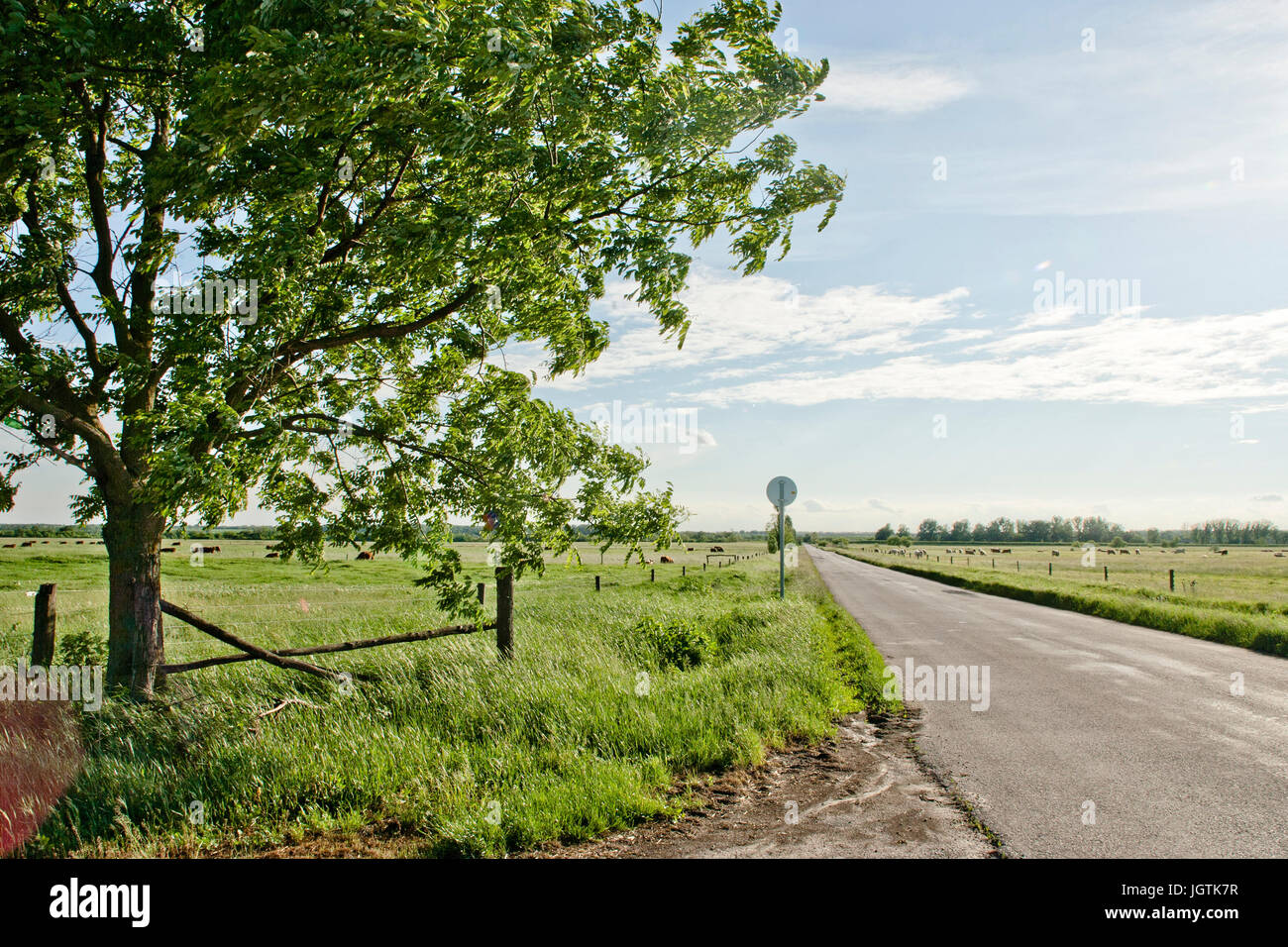 Beautiful american asphalt highway hi-res stock photography and images ...