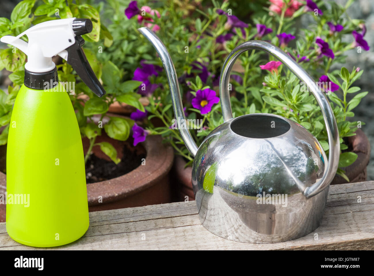 gardening equipment and tools for planting flowers in the garden Stock ...