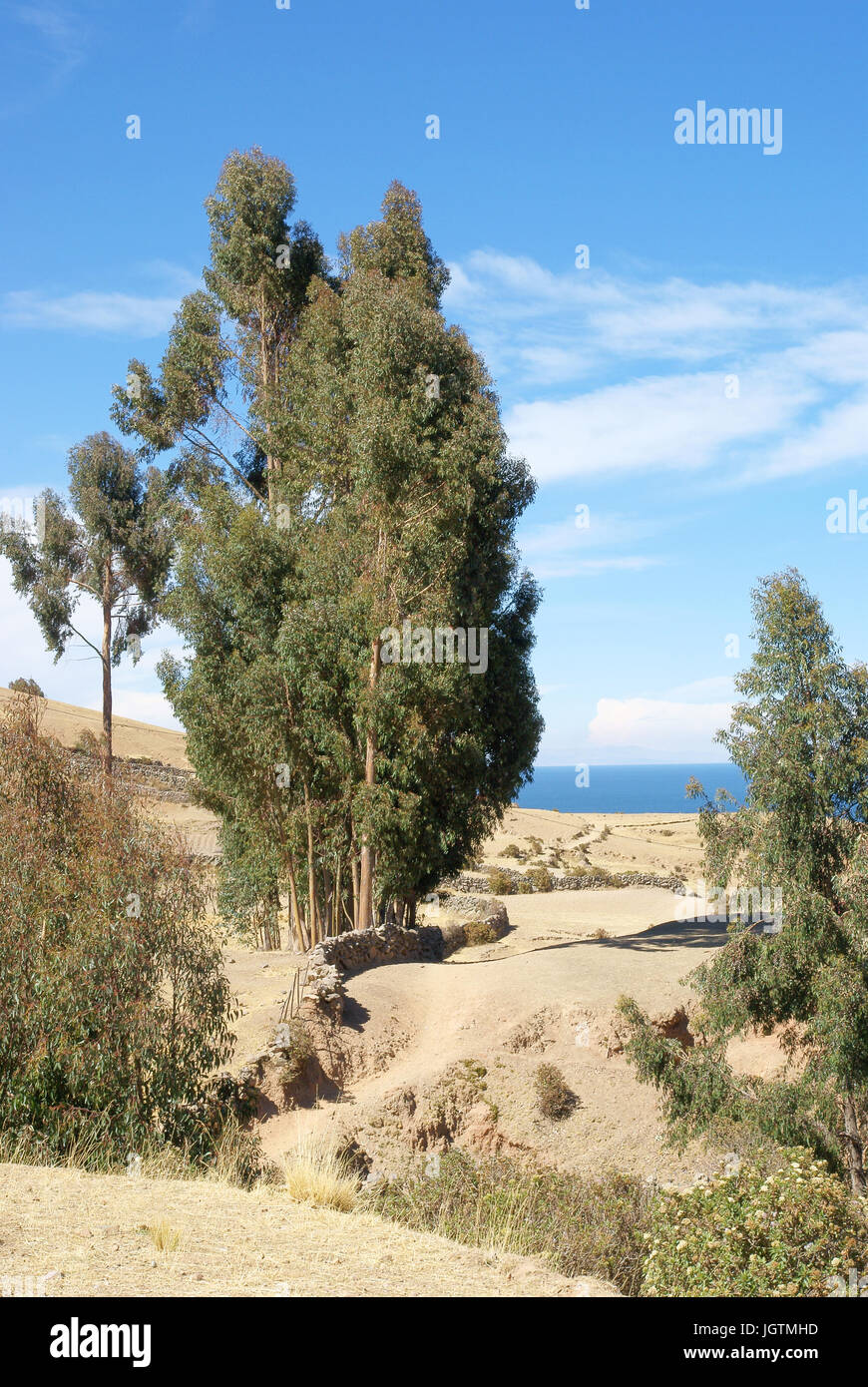 Isla Amantani, Titicaca Lake, Lima, Peru Stock Photo - Alamy
