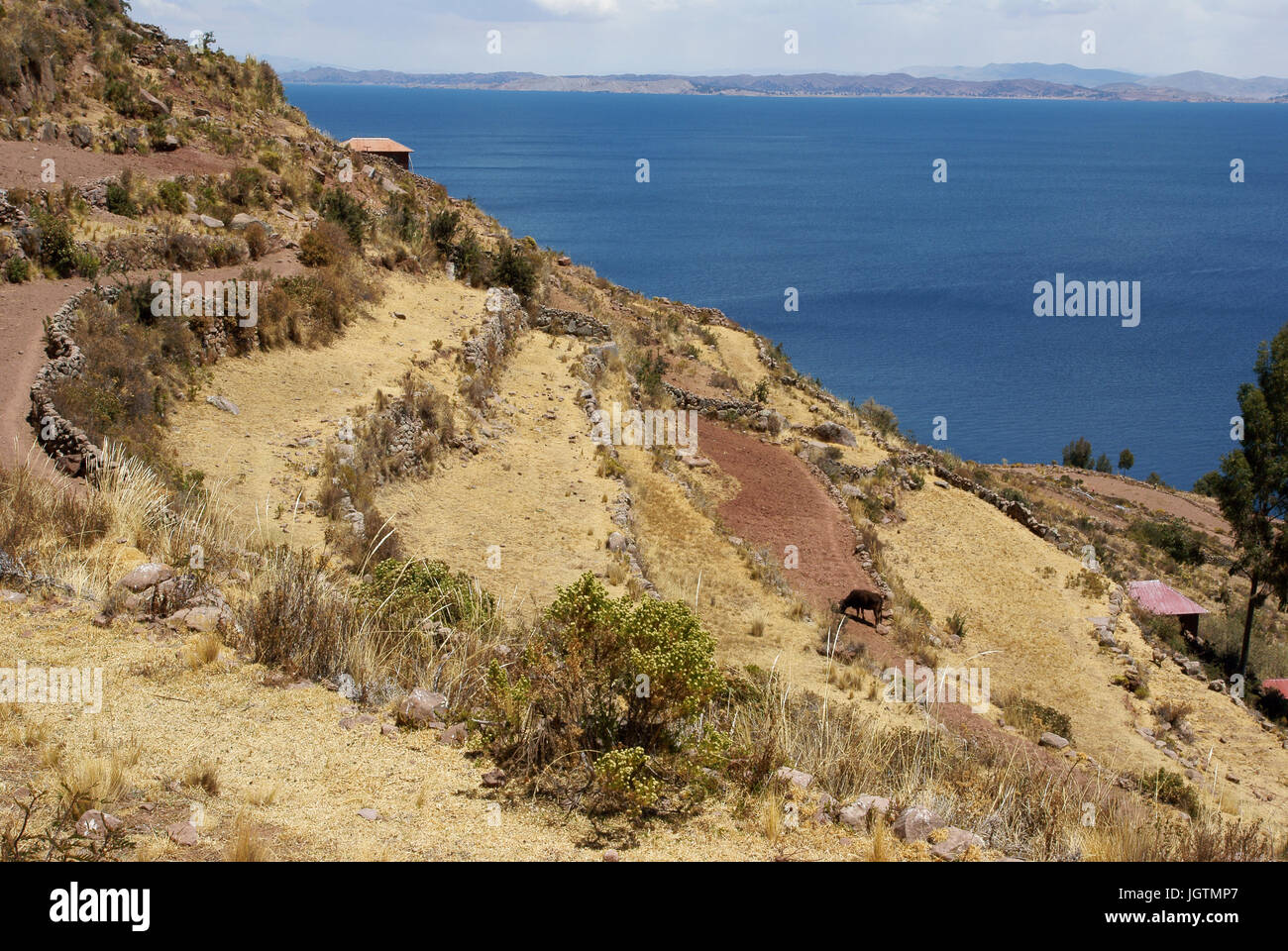 Isla Taquile, Titicaca Lake, Lima, Peru Stock Photo - Alamy