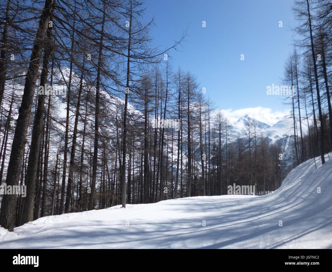 Treelined slope hi-res stock photography and images - Alamy