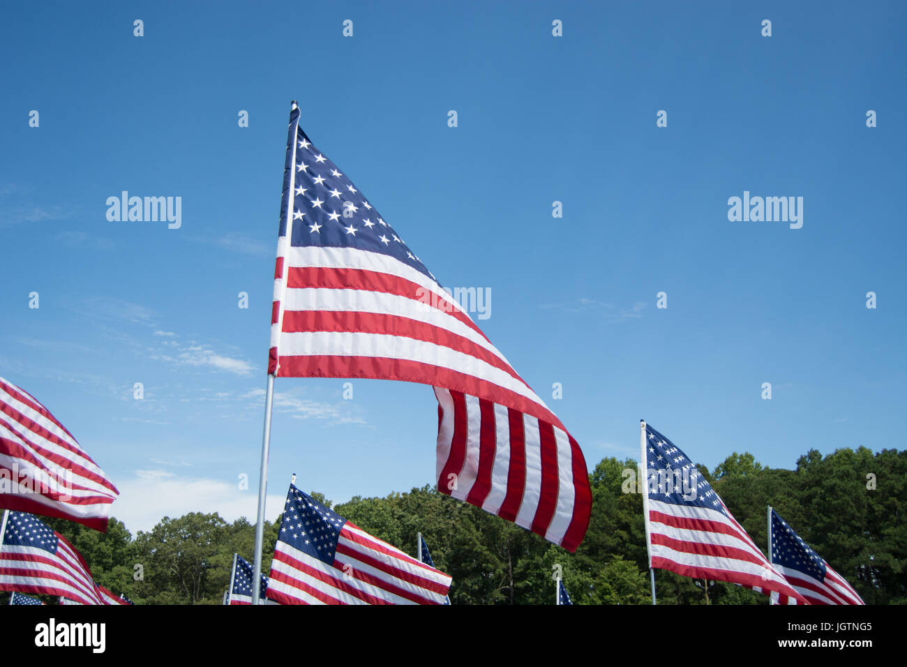 American Flags Blowing in the Wind Stock Photo - Alamy