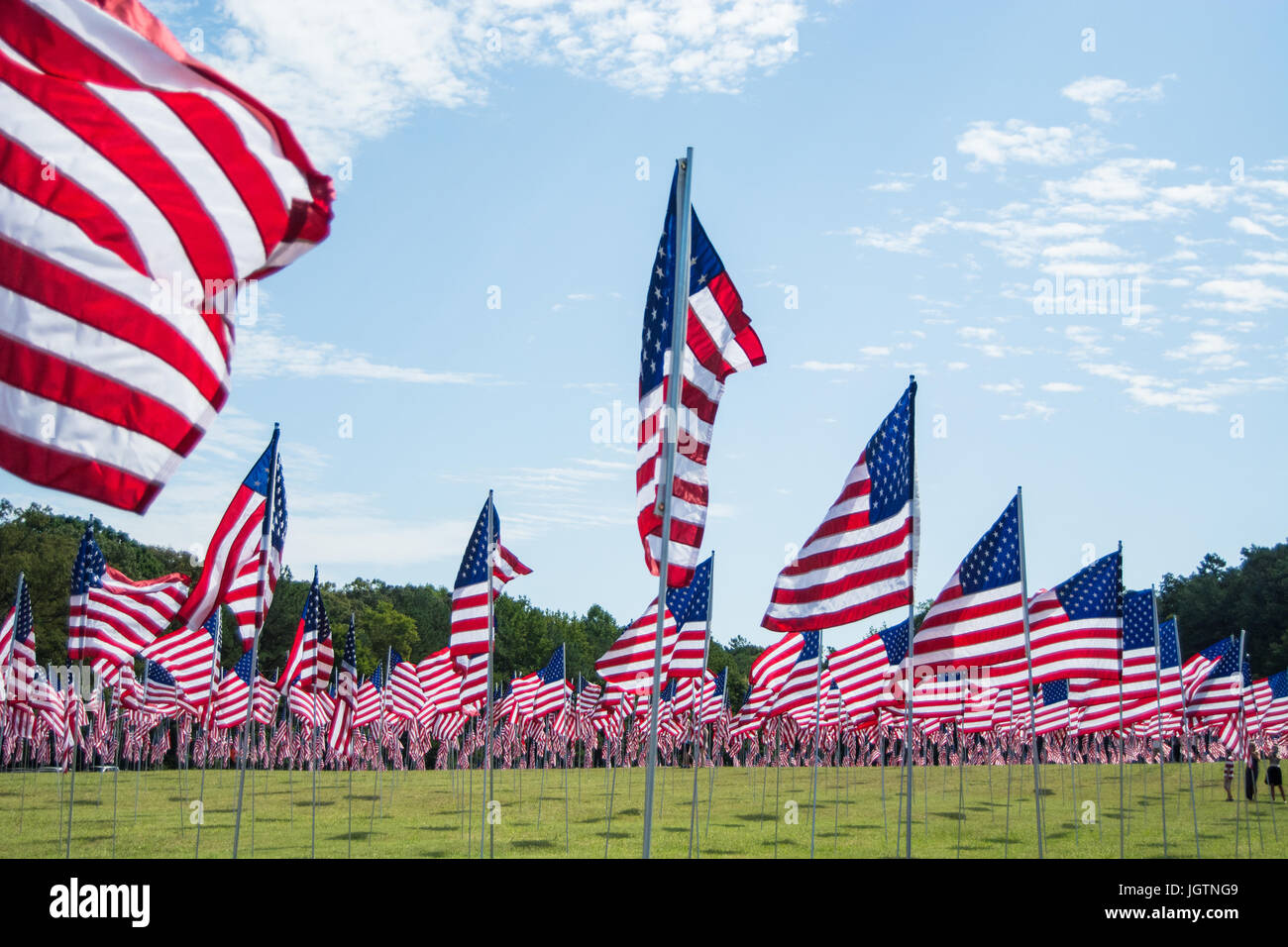 American Flags Blowing in the Wind Stock Photo - Alamy