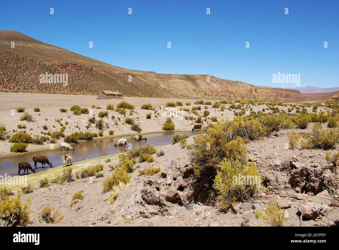 Desert of Lipez, Department of Potosi, Sud Lipez Province, La Paz ...