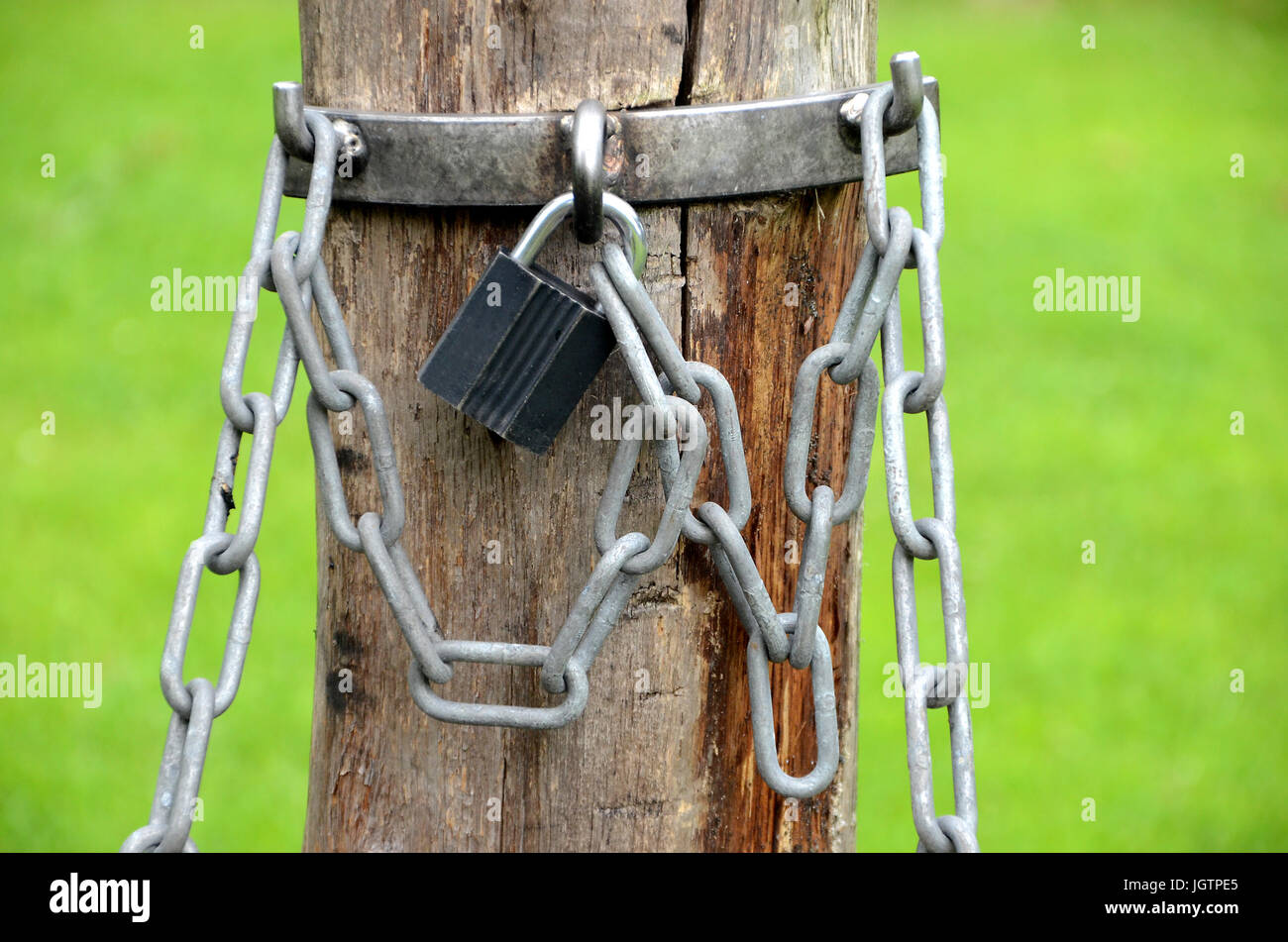 Tethered to a pole hi-res stock photography and images - Alamy