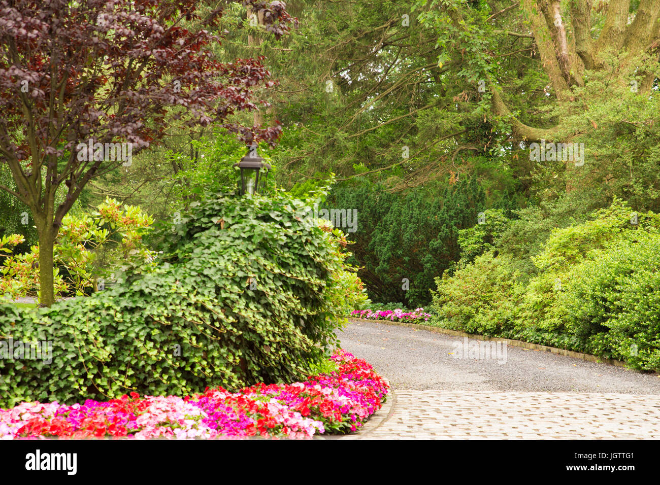 Pretty driveway path Stock Photo - Alamy