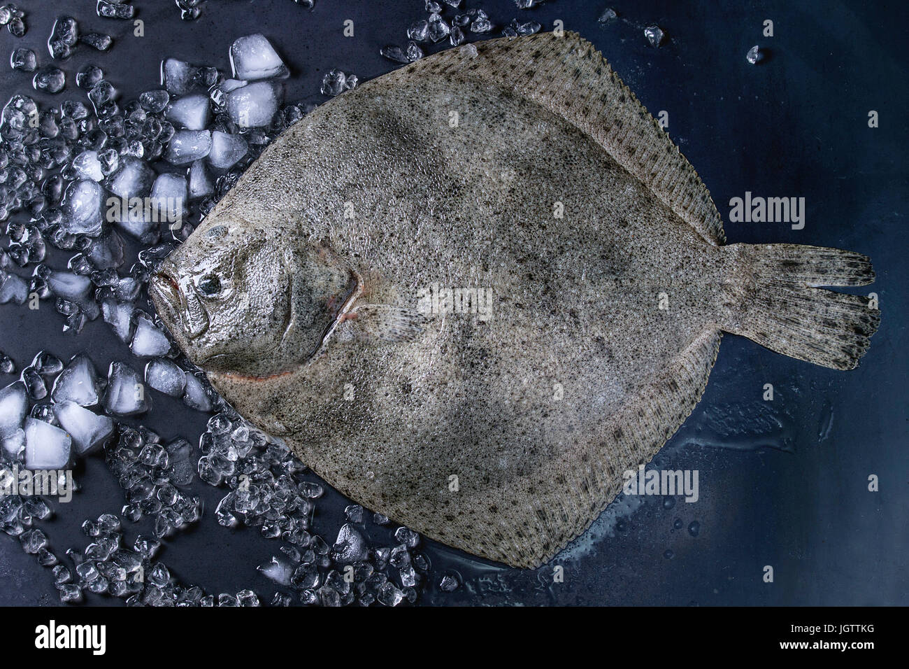 Raw fresh whole flounder fish on crushed ice over dark wet metal ...