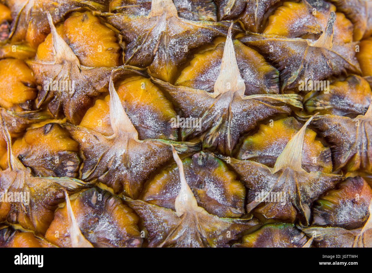Pineapple Skin Stock Photos & Pineapple Skin Stock Images - Alamy