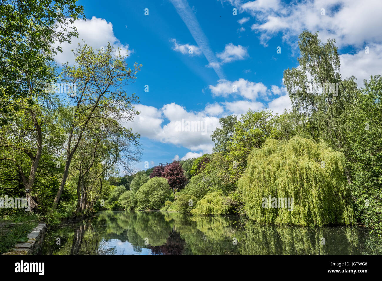 Summer Dam in Bloom Stock Photo - Alamy