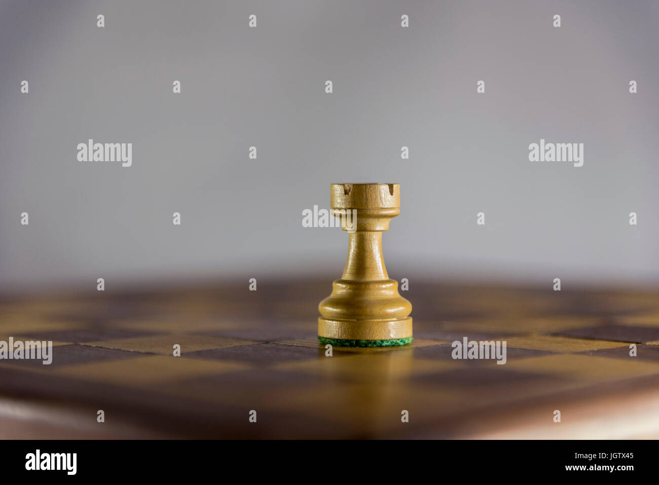 Chess game or chess pieces with white background Stock Photo - Alamy