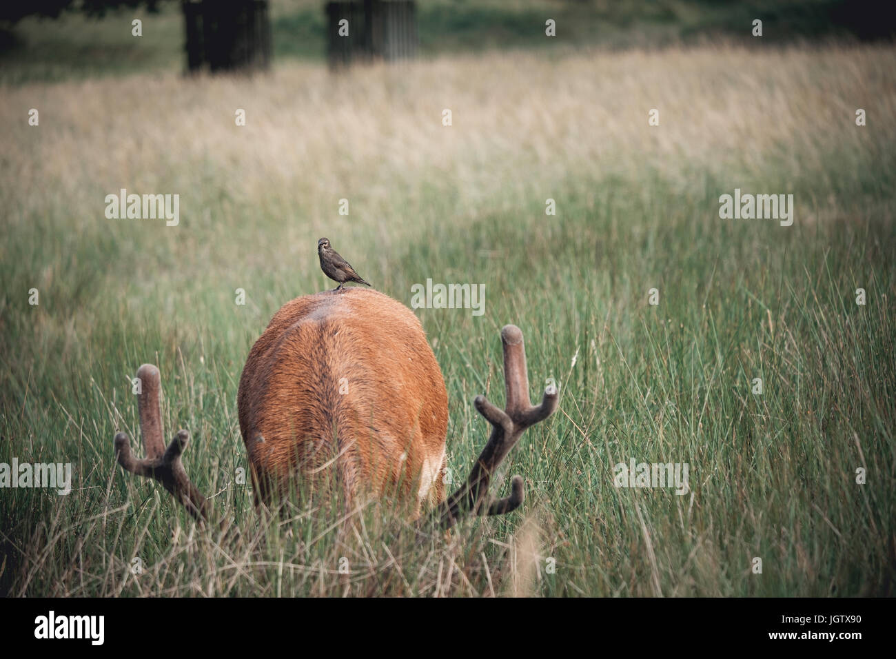 Hitching a ride hi-res stock photography and images - Alamy