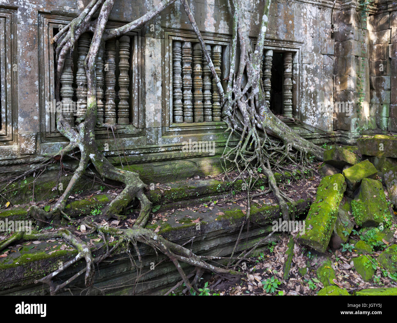 Section of Angkor Wat ruins Stock Photo - Alamy