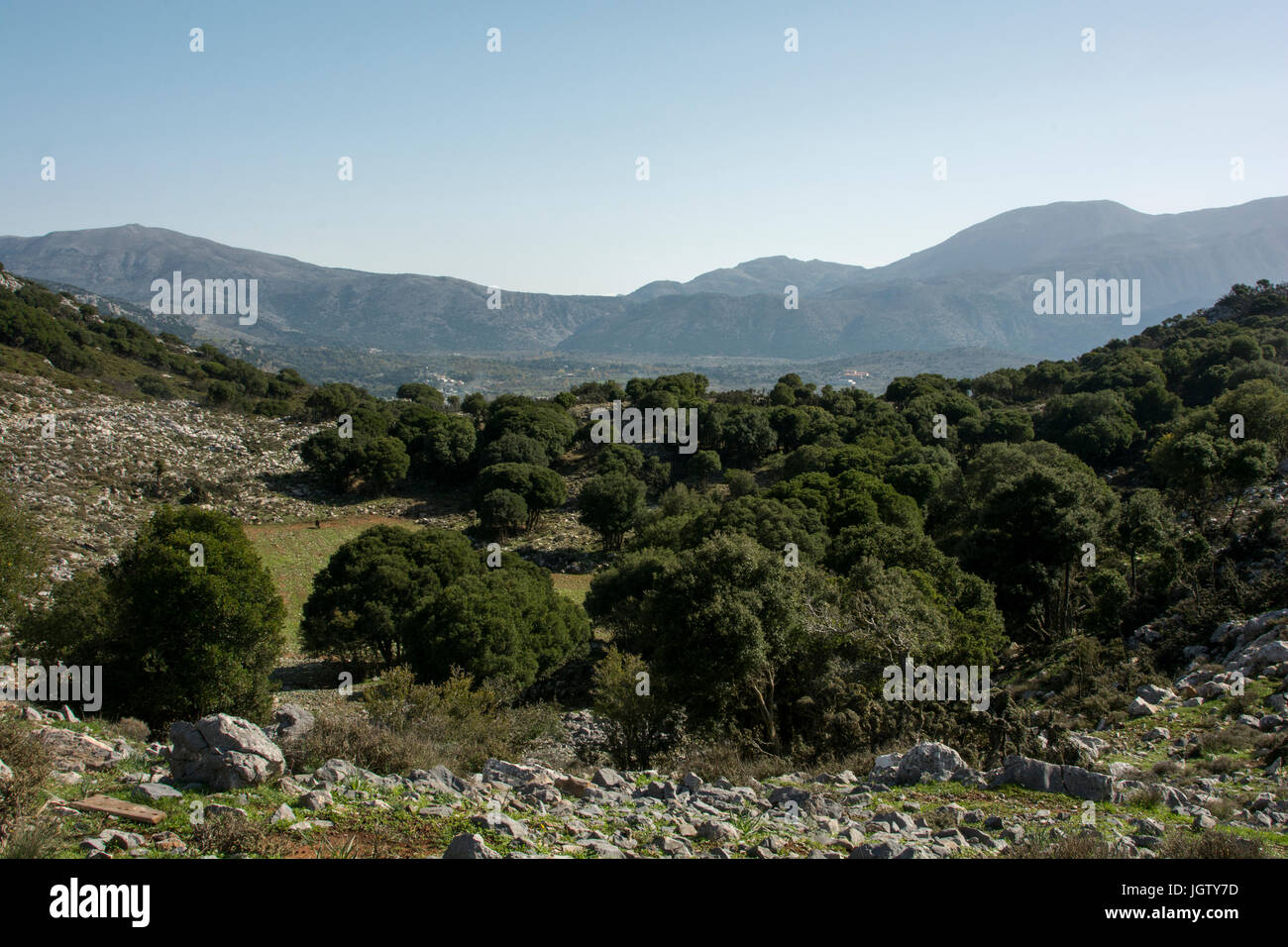 The Lasithi plateau is a karst plain or polje at an elevvation around ...