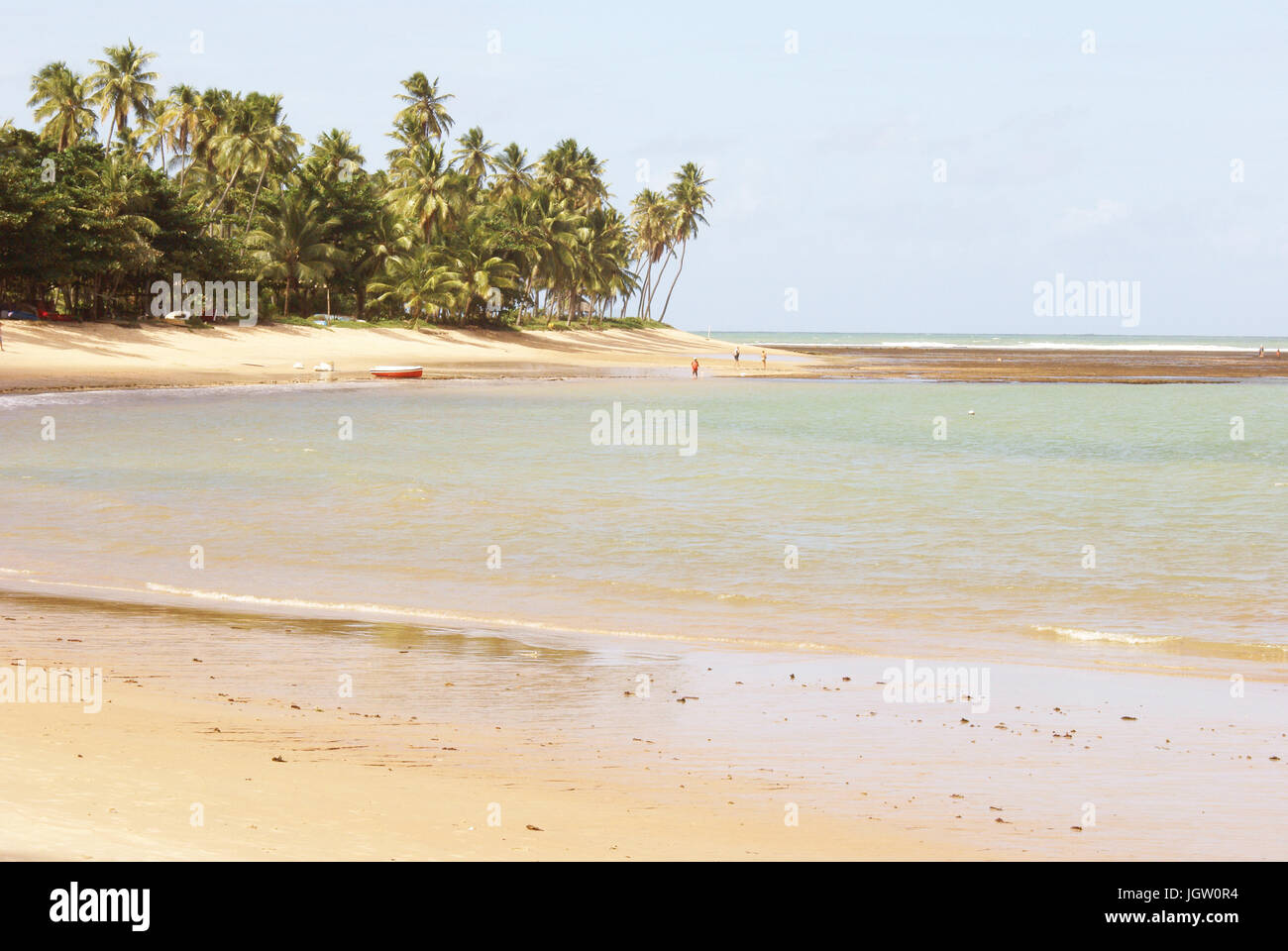 Landscape, Praia do Forte, Bahia, Brazil Stock Photo - Alamy