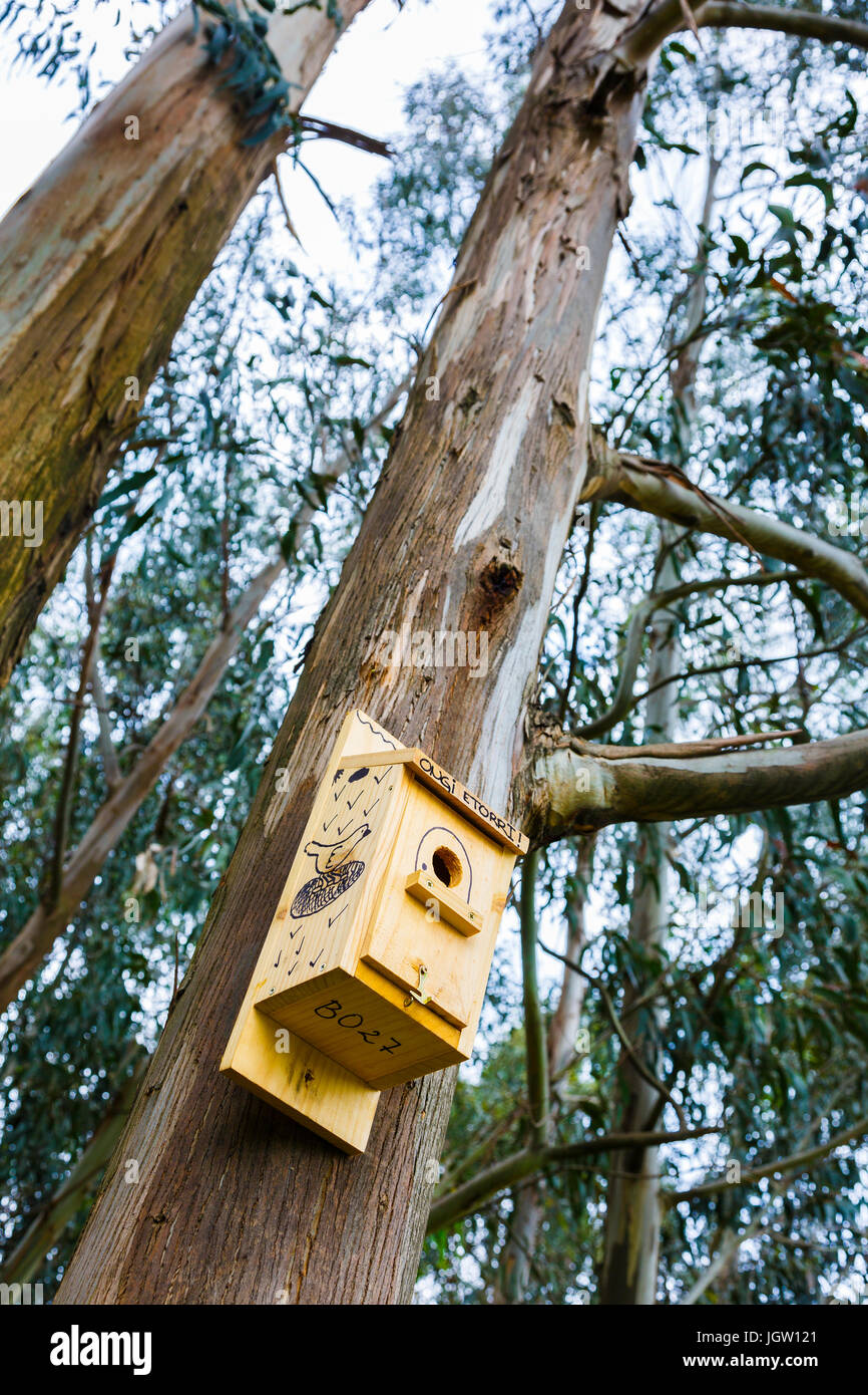 Nest box hi-res stock photography and images - Alamy