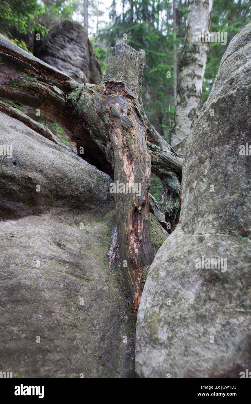 Adršpach-Teplice Rocks Czech Republic Stock Photo - Alamy