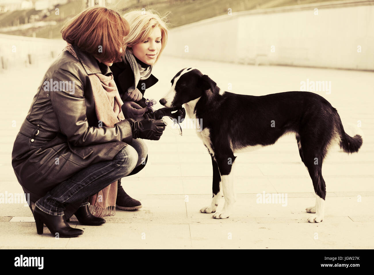 Two young fashion women and a dog Stock Photo - Alamy