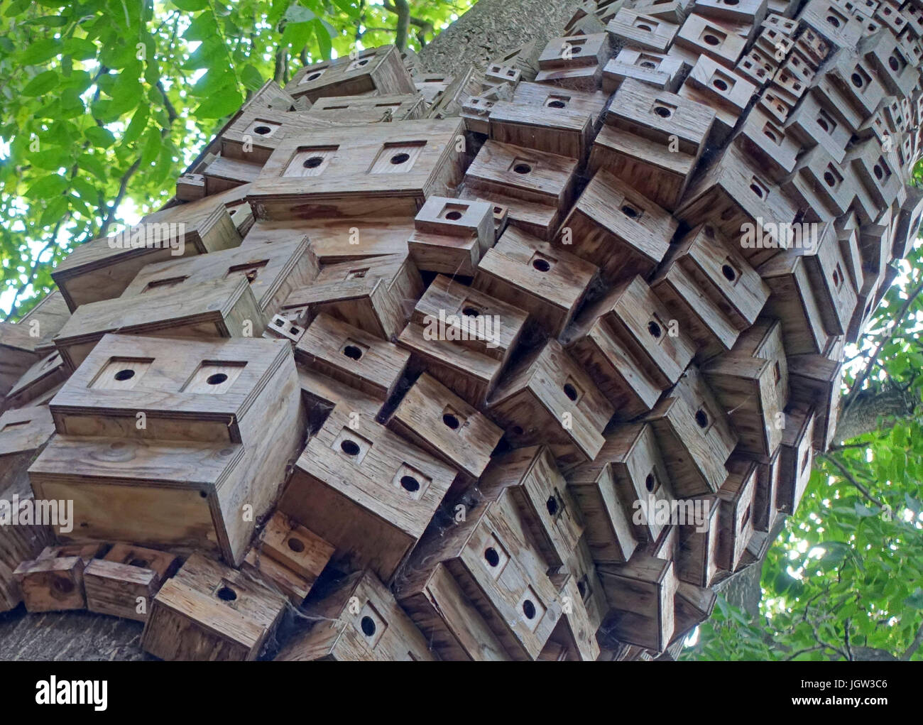 "Tree of Heaven" bird boxes installation by Spontaneous City in ...