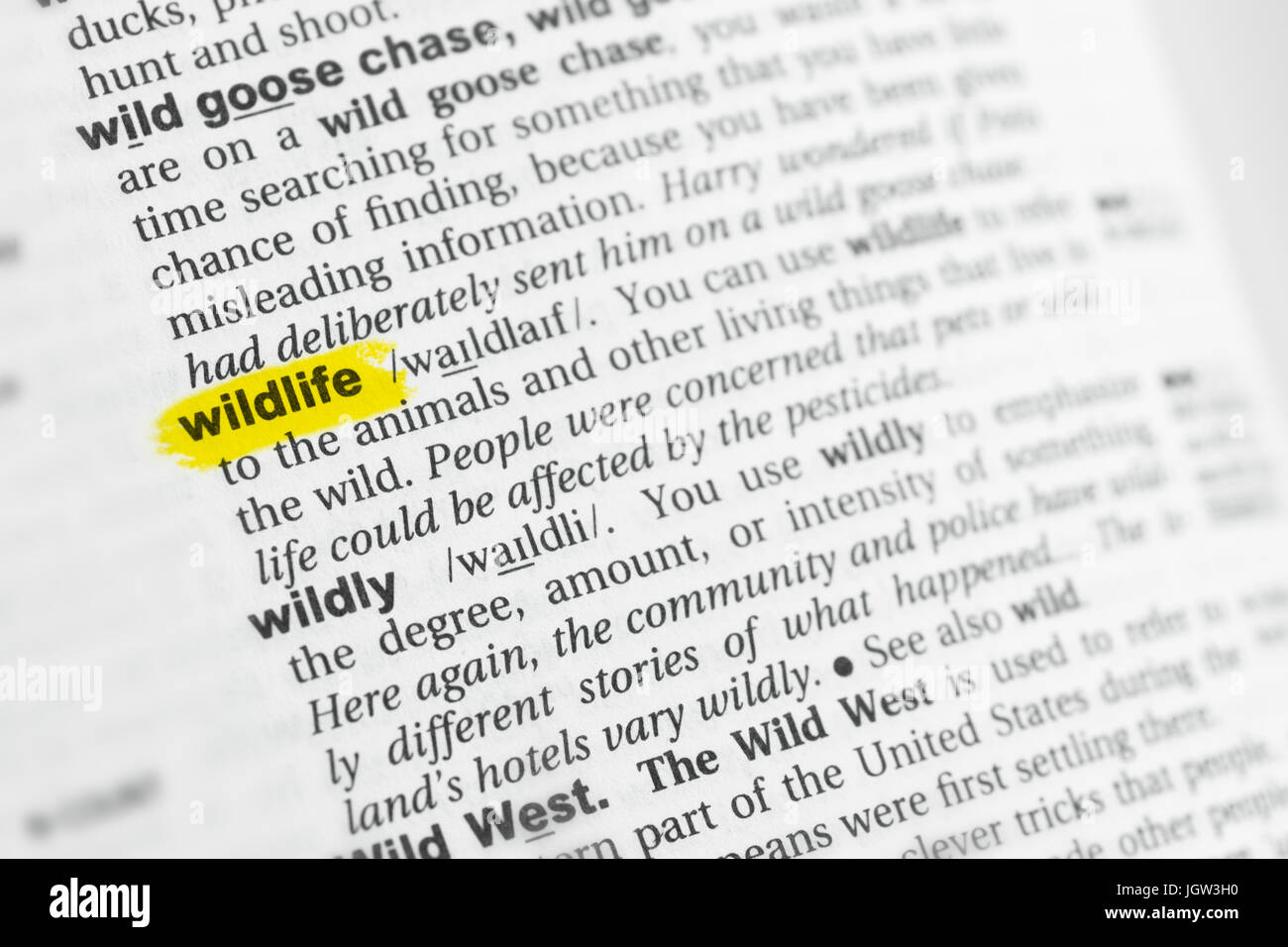 Highlighted English Word Wildlife And Its Definition At The