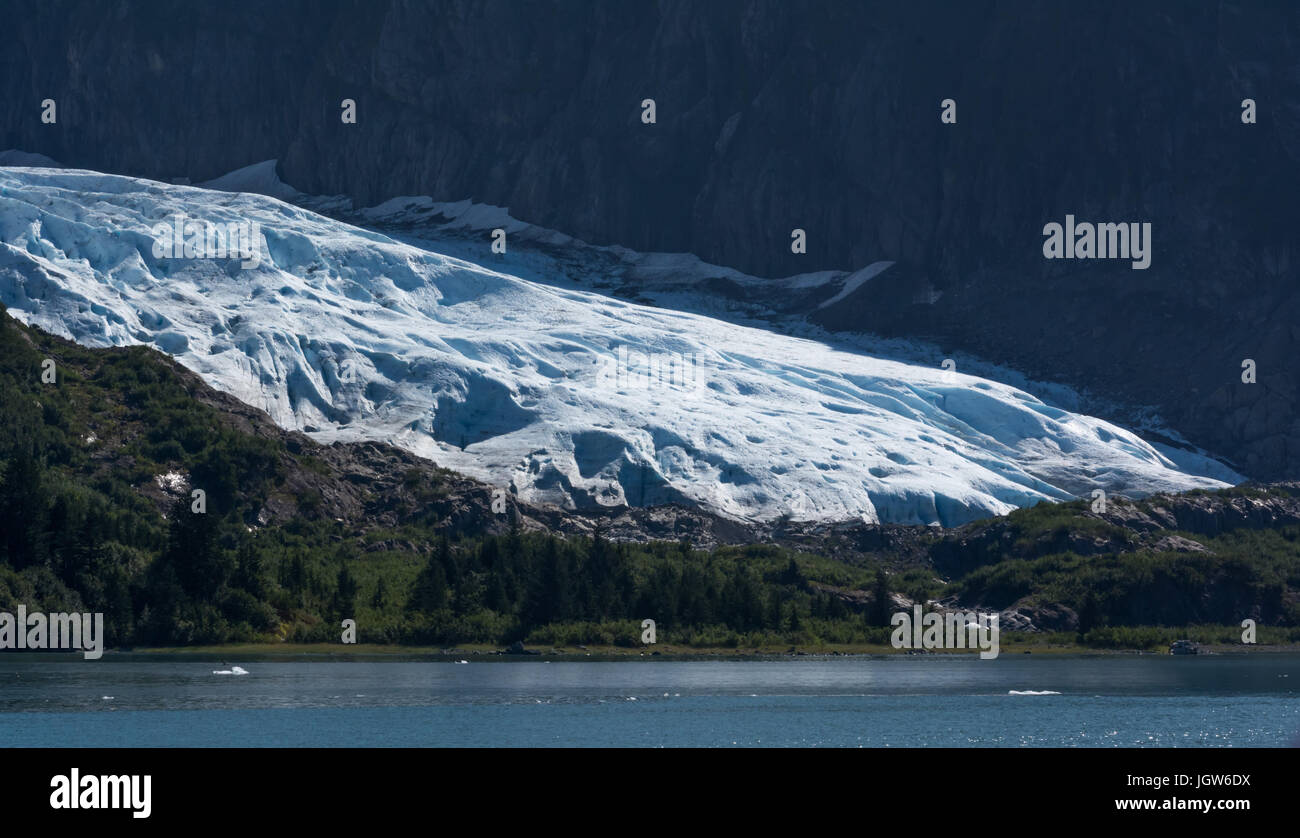 A smooth glacier almost reaches Prince WIlliam Sound in Alaska but is ...
