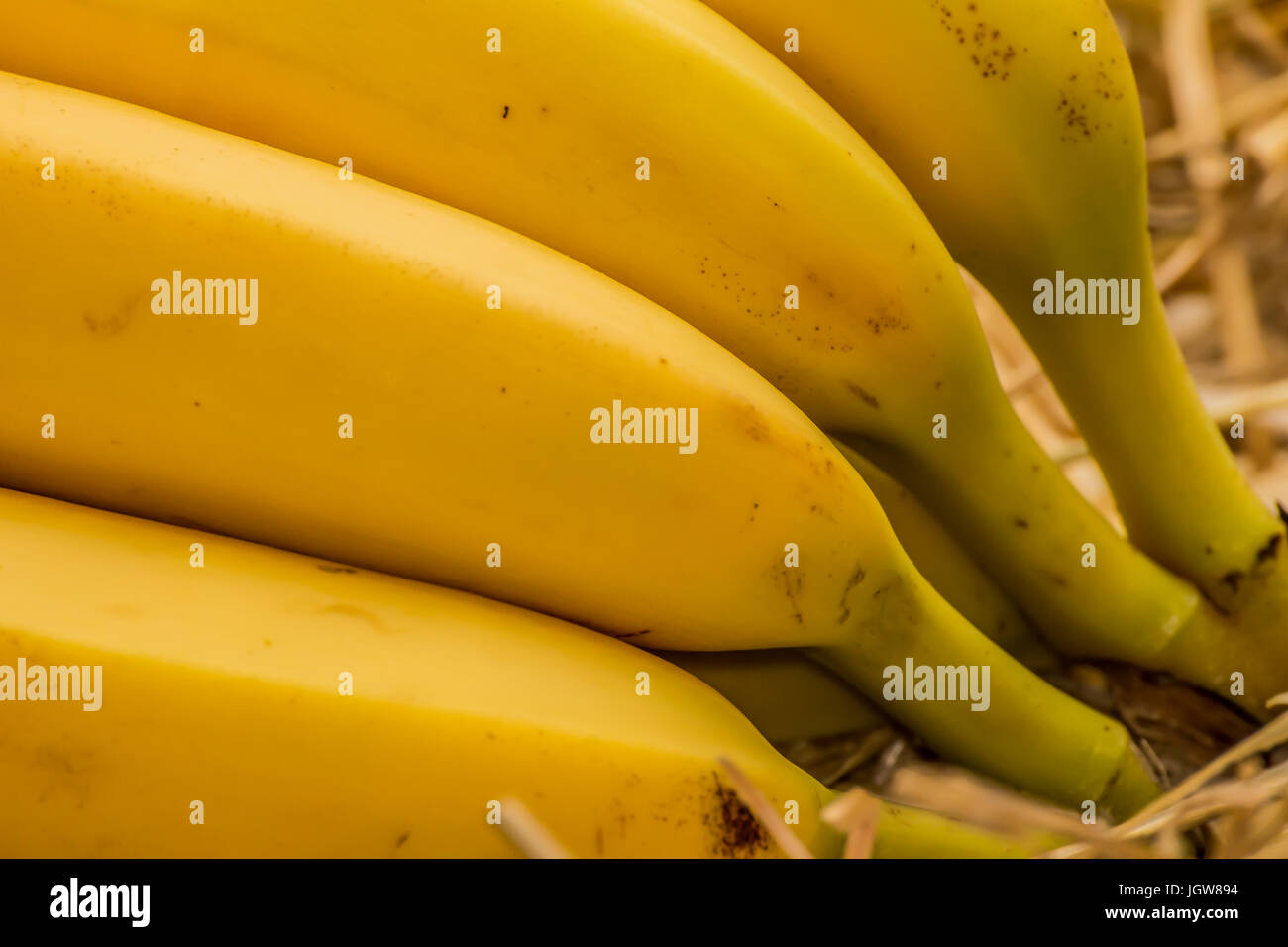 Organic bananas, latin - musa, not only for vegan's and vegetarian's ...