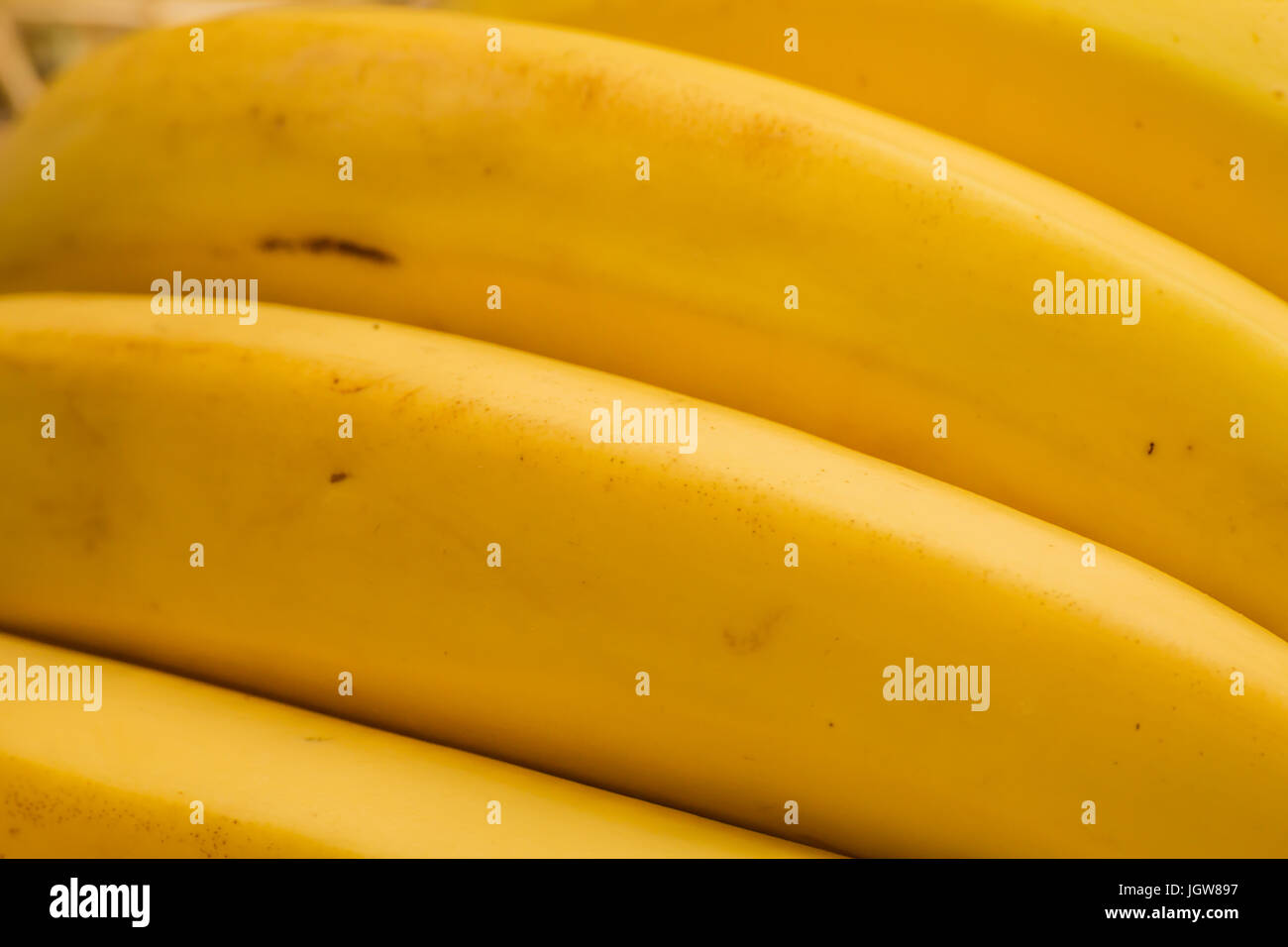 Organic bananas, latin - musa, not only for vegan's and vegetarian's ...