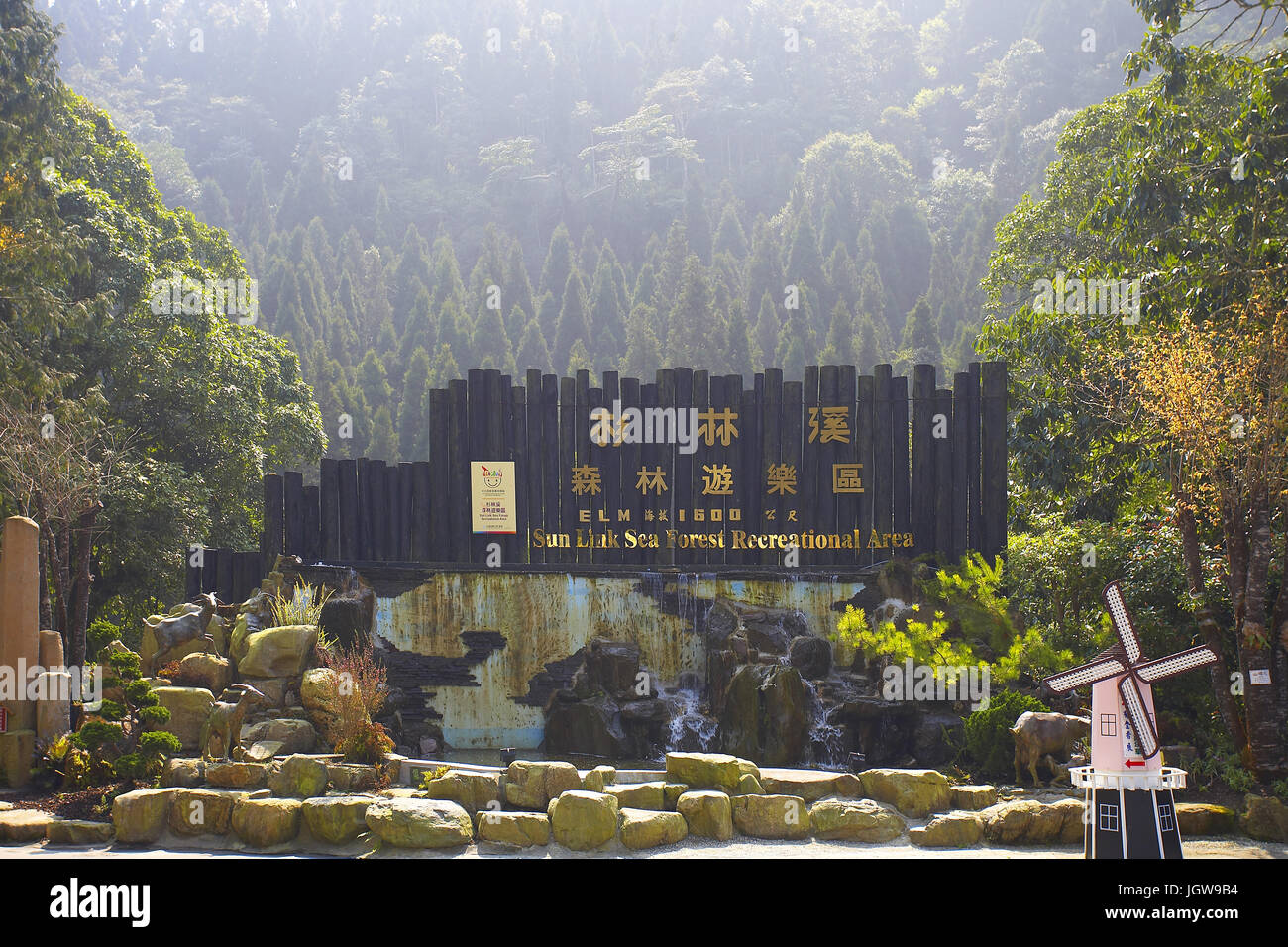 Taiwan Fir High Resolution Stock Photography and Images - Alamy