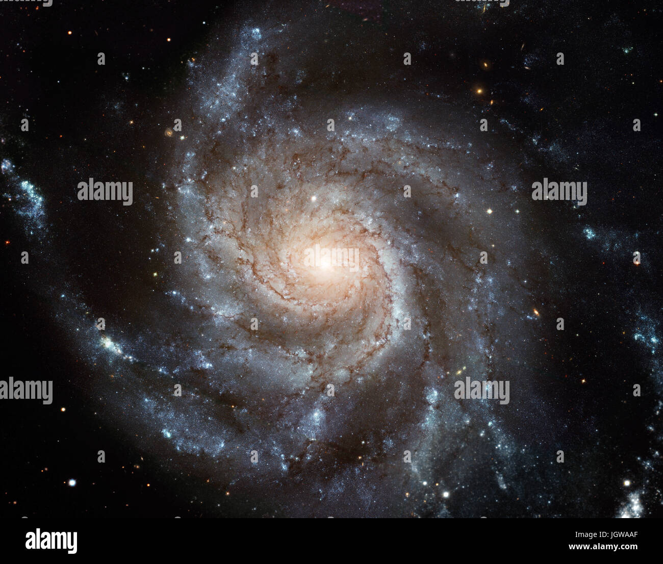 The torch and part of the arm of the Statue of Liberty, on display at ...