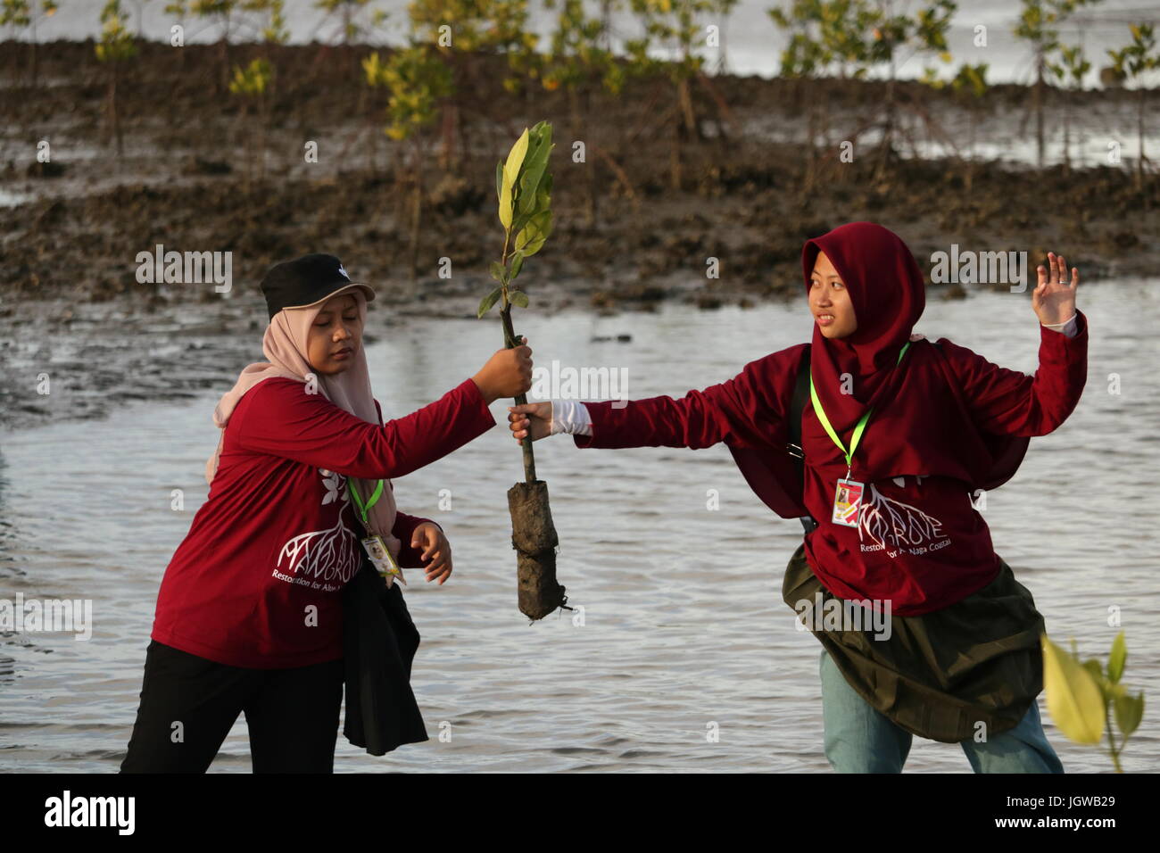 Banda Aceh, Indonesia. 10th July, 2017. Natural Aceh Research Institute ...