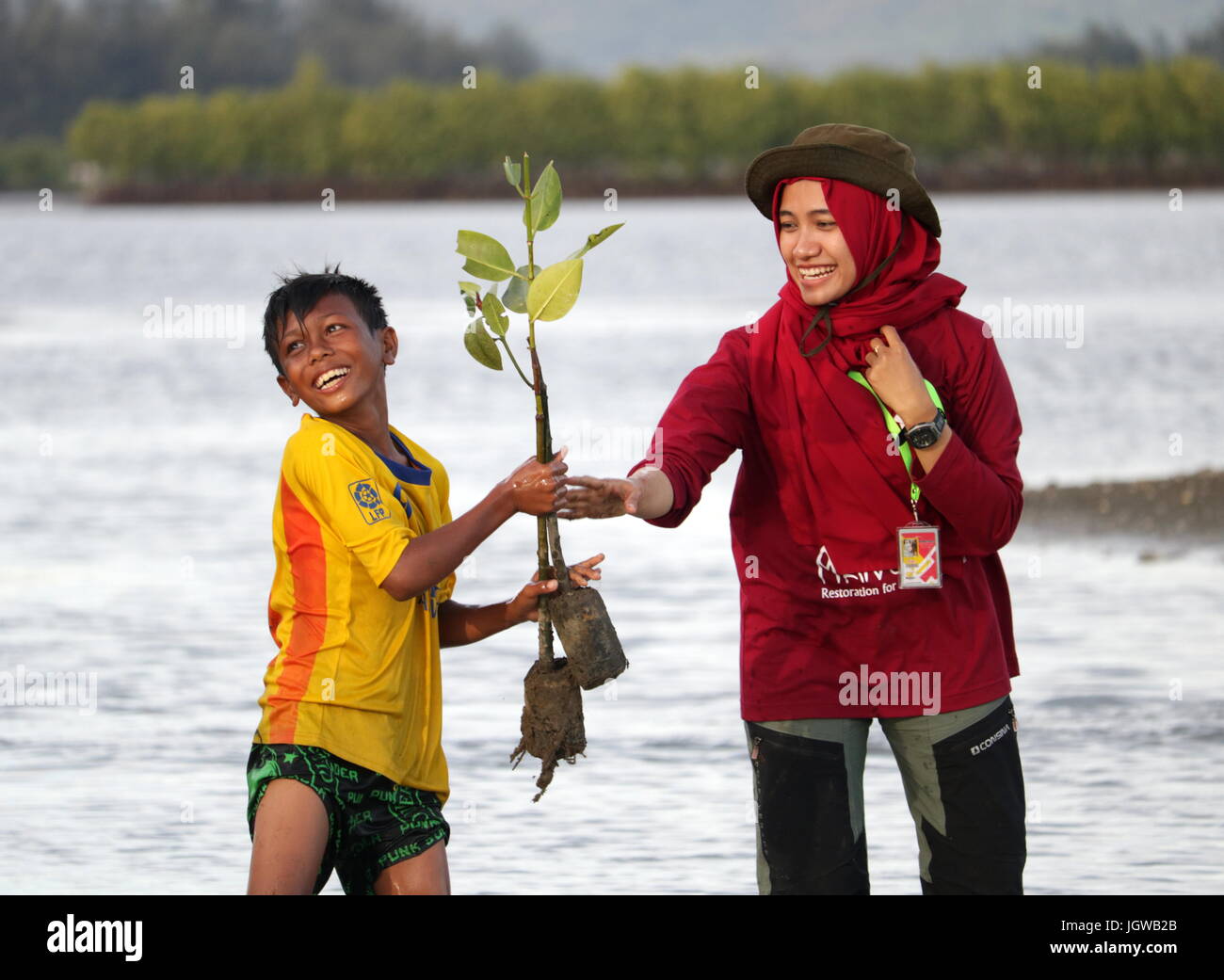 Mangrove planting indonesia hi-res stock photography and images - Alamy