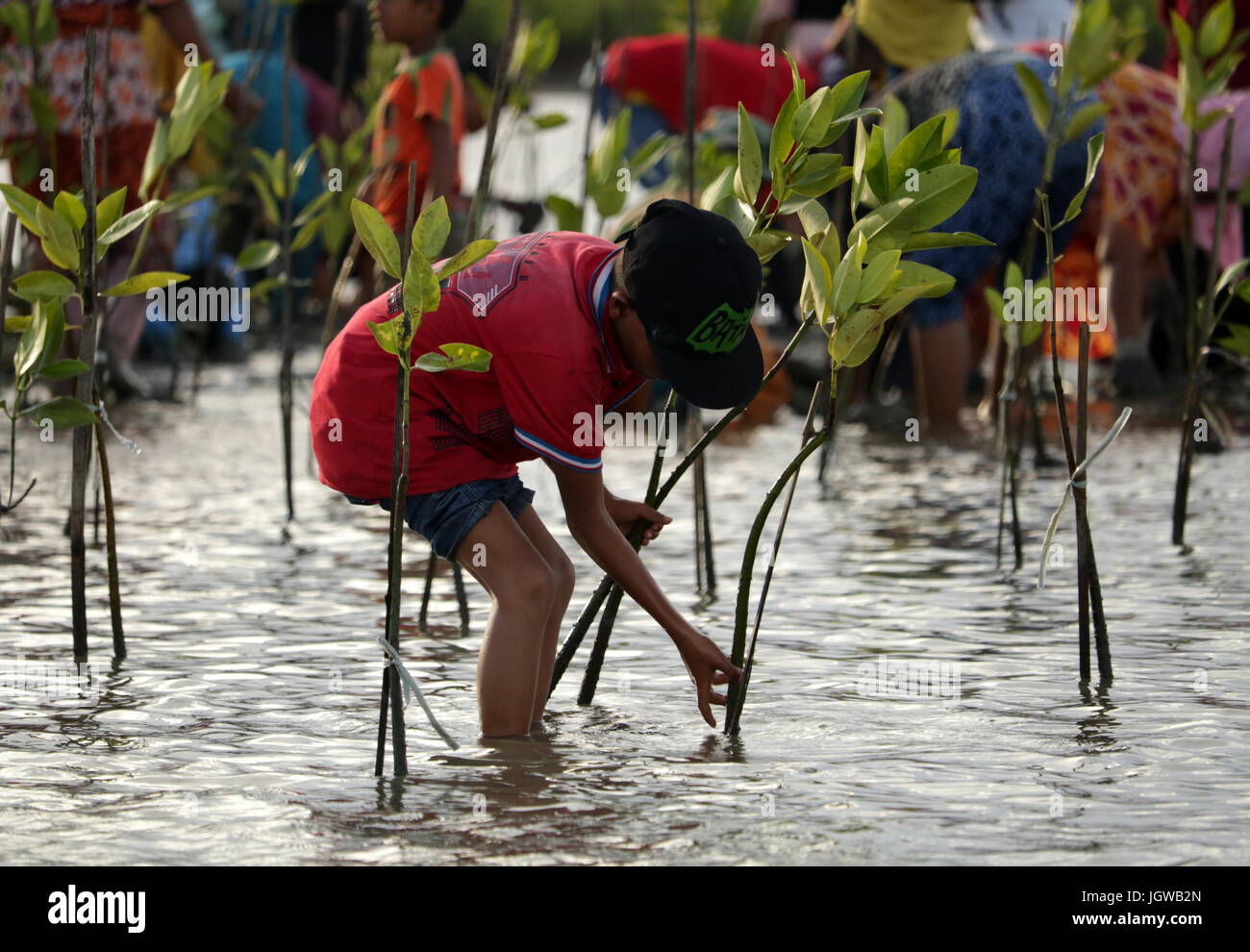 Banda Aceh, Indonesia. 10th July, 2017. Natural Aceh Research Institute ...