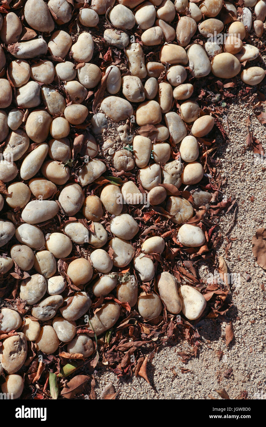 Stoney ground garden hi-res stock photography and images - Alamy