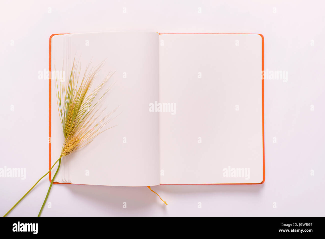 Open Book and Barley Stock Photo - Alamy