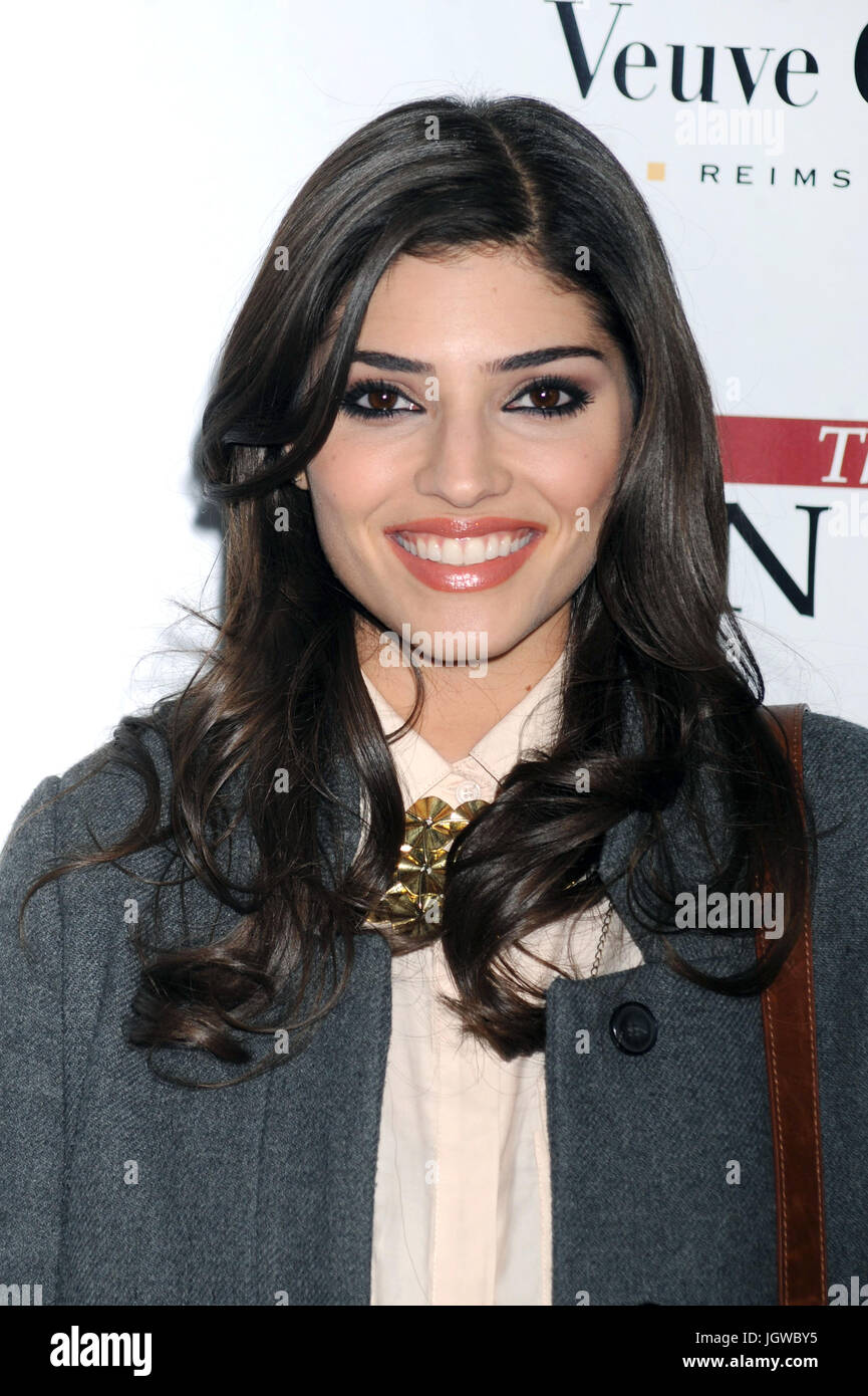 Amanda Setton at the 'The Iron Lady' New York premiere at the Ziegfeld ...