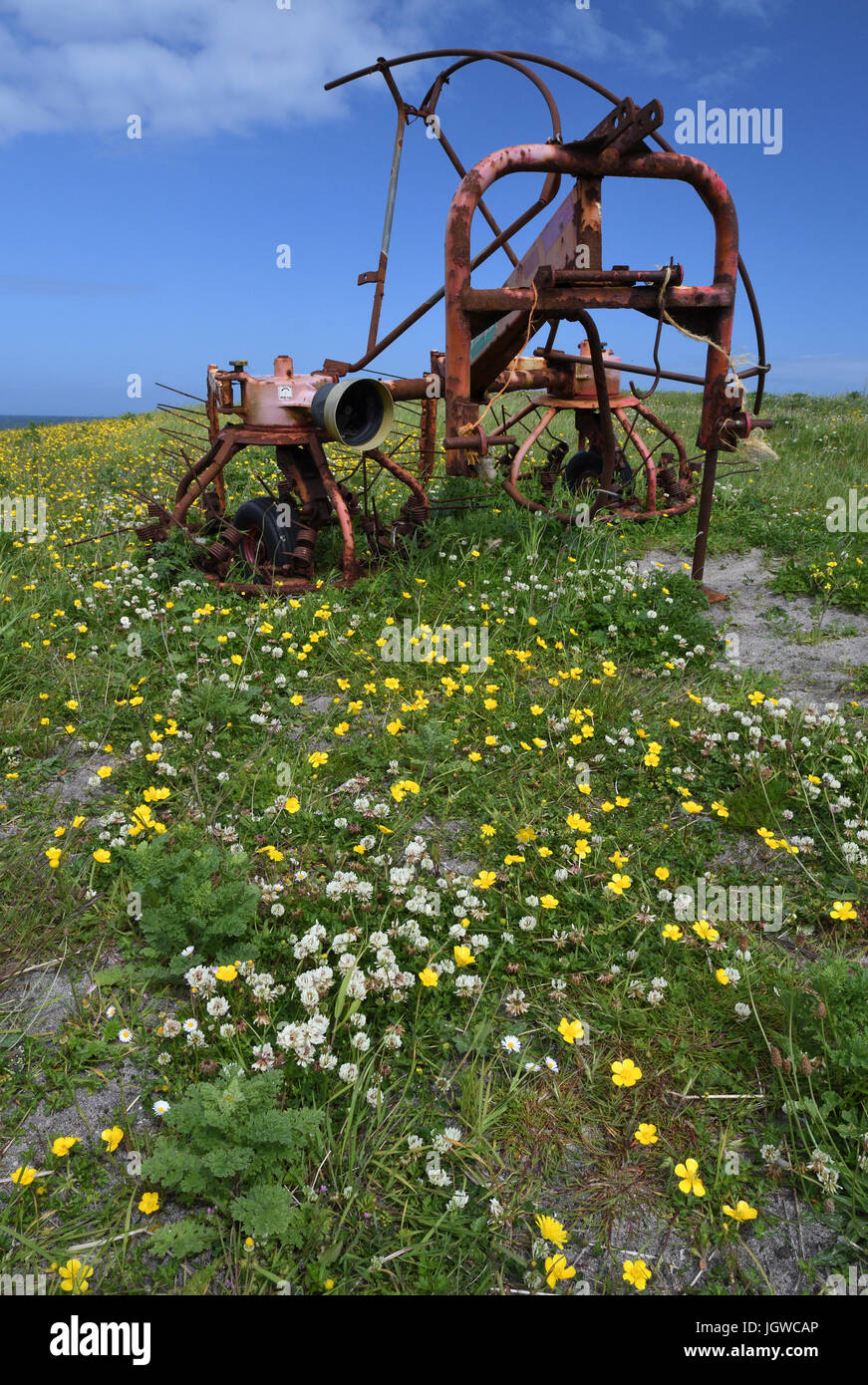 machair;grassy plain;coastal;agricultural machinery;wildflowers;south ...