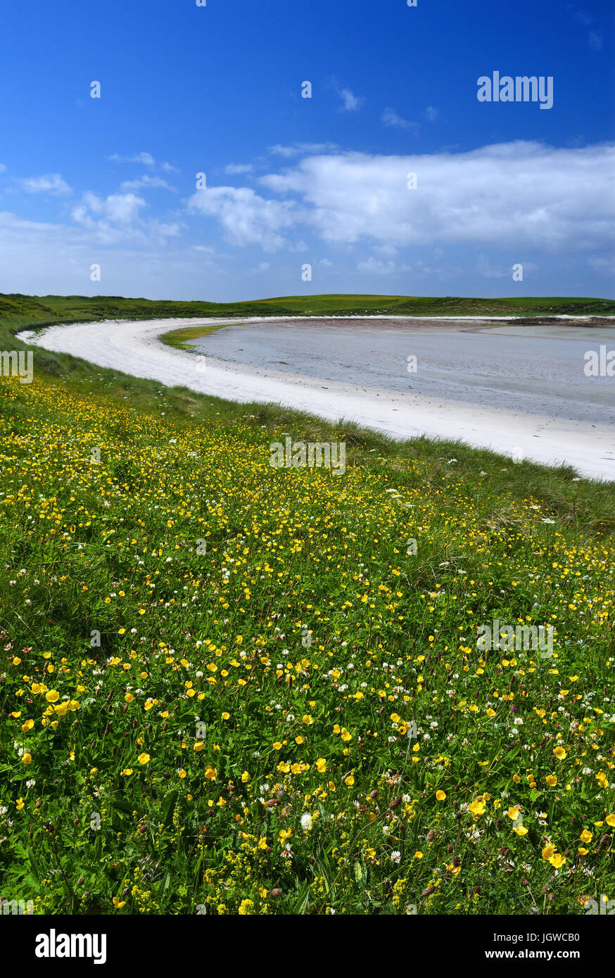 machair;grassy plain;coastal;wildflowers;balranald;north uist;scotland ...