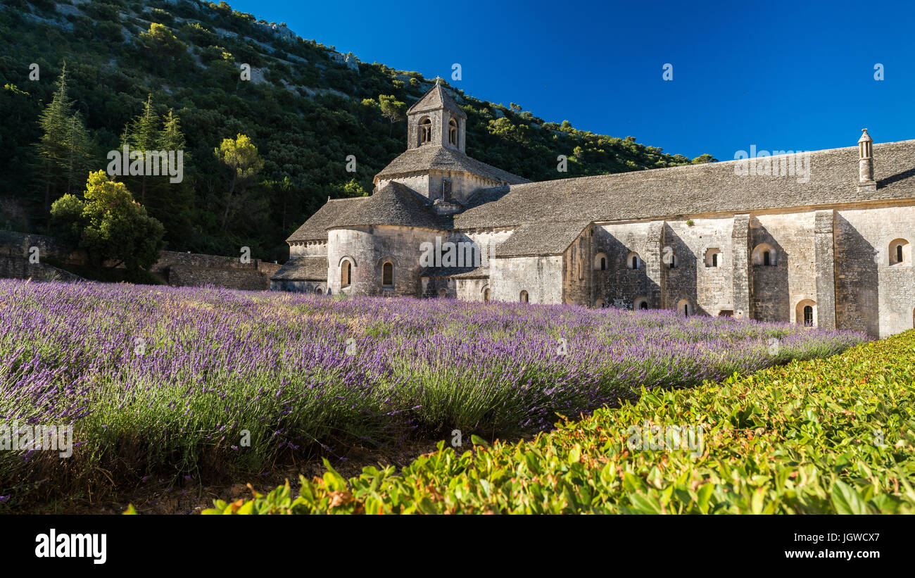 Abbaye de Sénanque, Gordes, Vaucluse, France 84 Stock Photo - Alamy