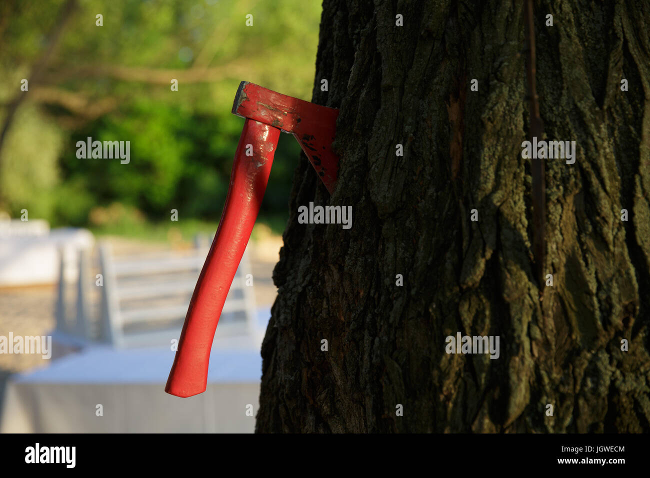 glamorous Red Ax stucking in the tree Stock Photo - Alamy