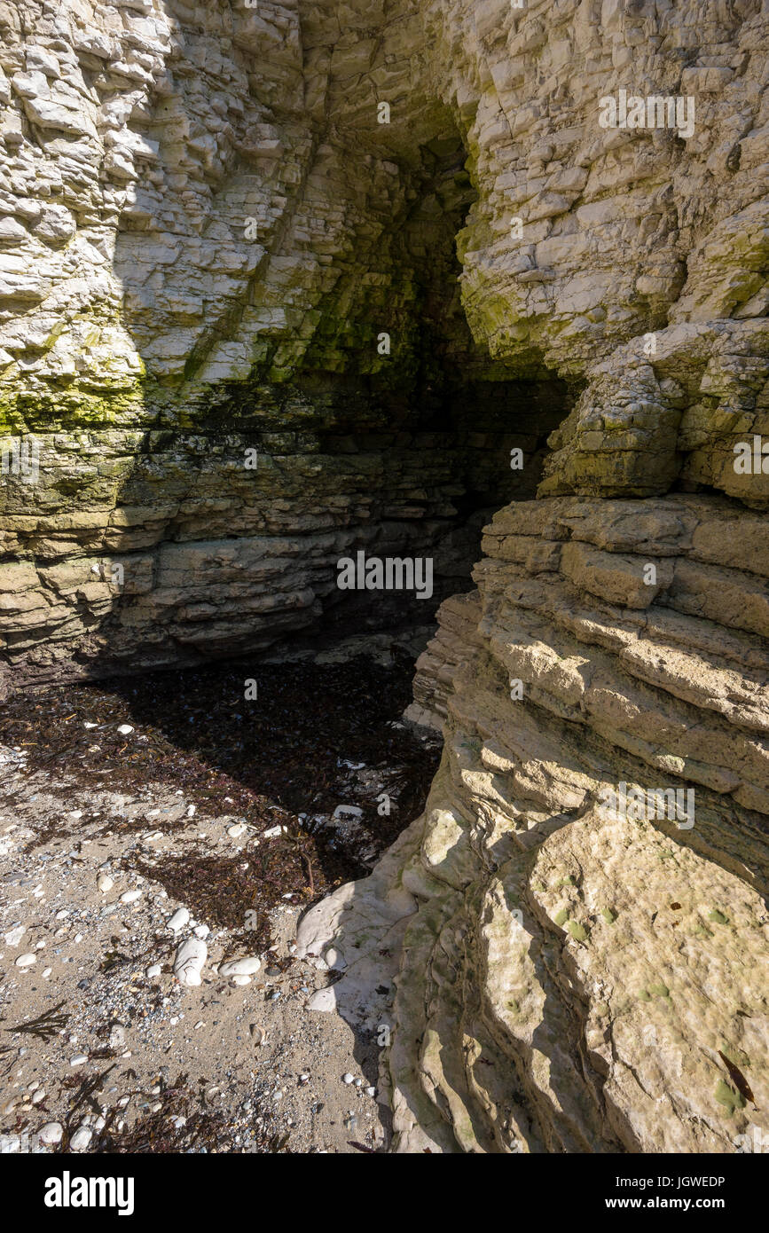 Cave in the chalk cliffs at Selwicks bay, North Yorkshire, England ...