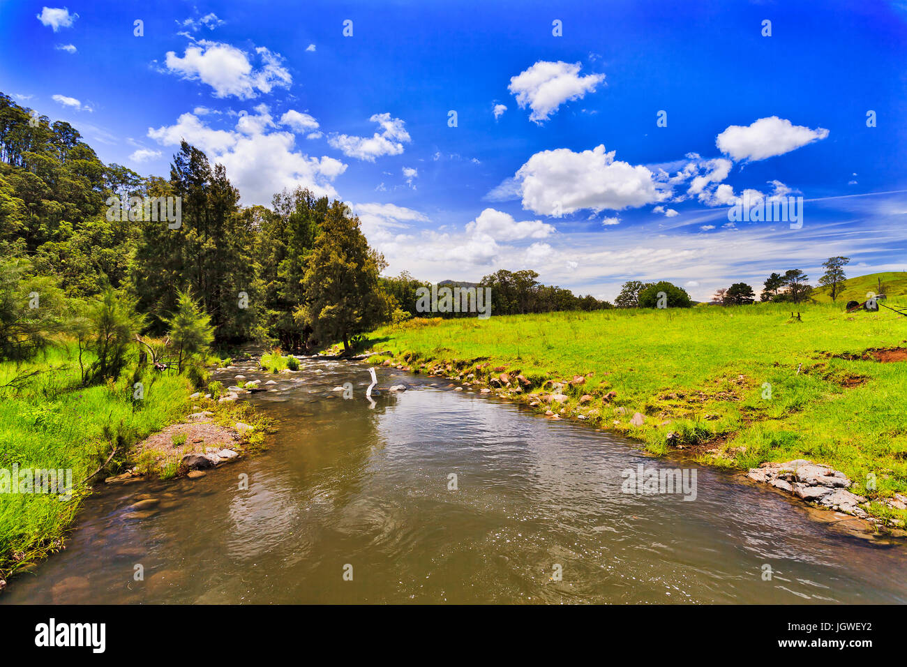 Fast flowing waters of mountain Cobark river between green grassy ...